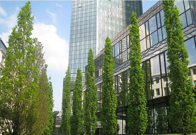 Baumschule Frankfurt